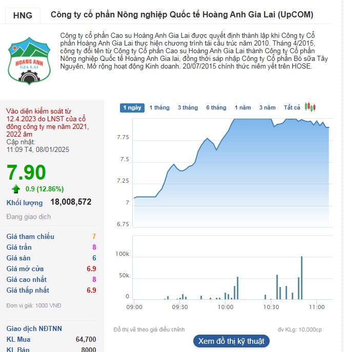 Bộ đôi HAG – HNG được ‘săn đón’ - VnBusiness