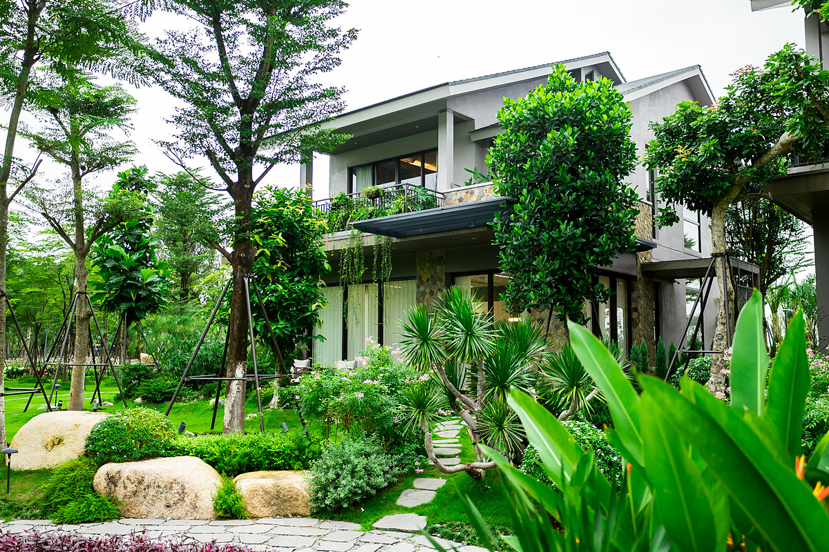 Nhà dưới tán rừng của Ecopark: Xóa nhòa ranh giới giữa tiện nghi và ...